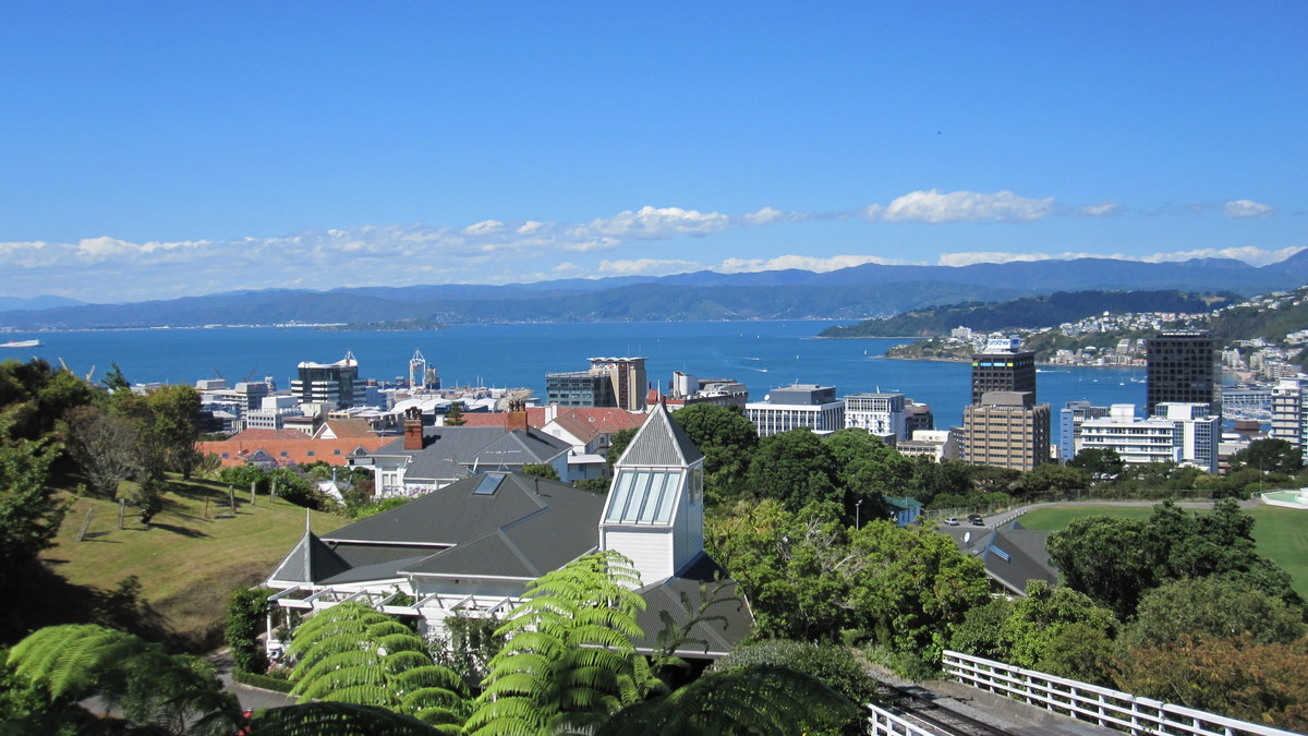 Wellington viewed from top of Botanical Gardens 1 | Travel Snippets