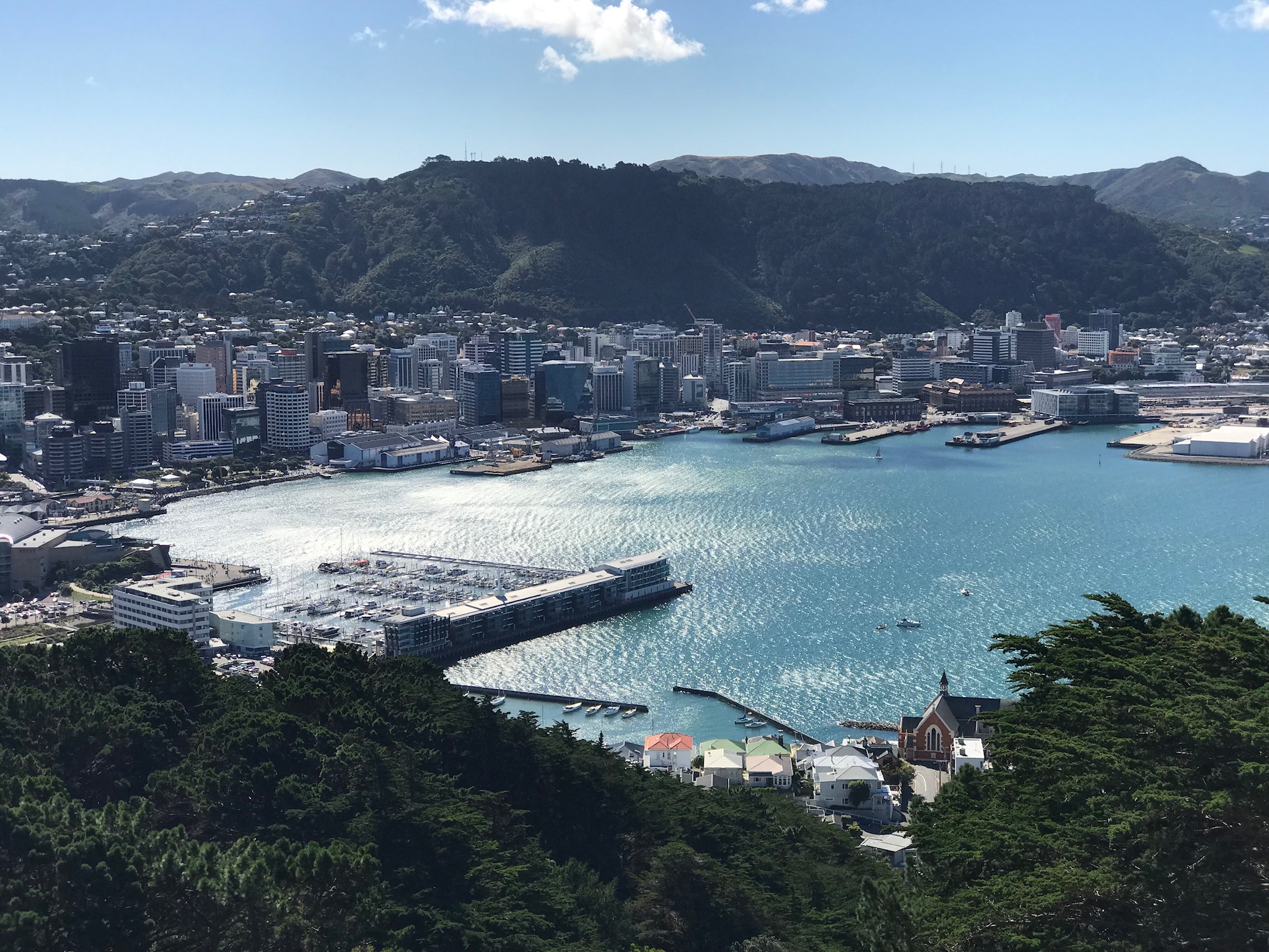 Views of Wellington from Mt Victoria & Southern Walkway - Travel Snippets