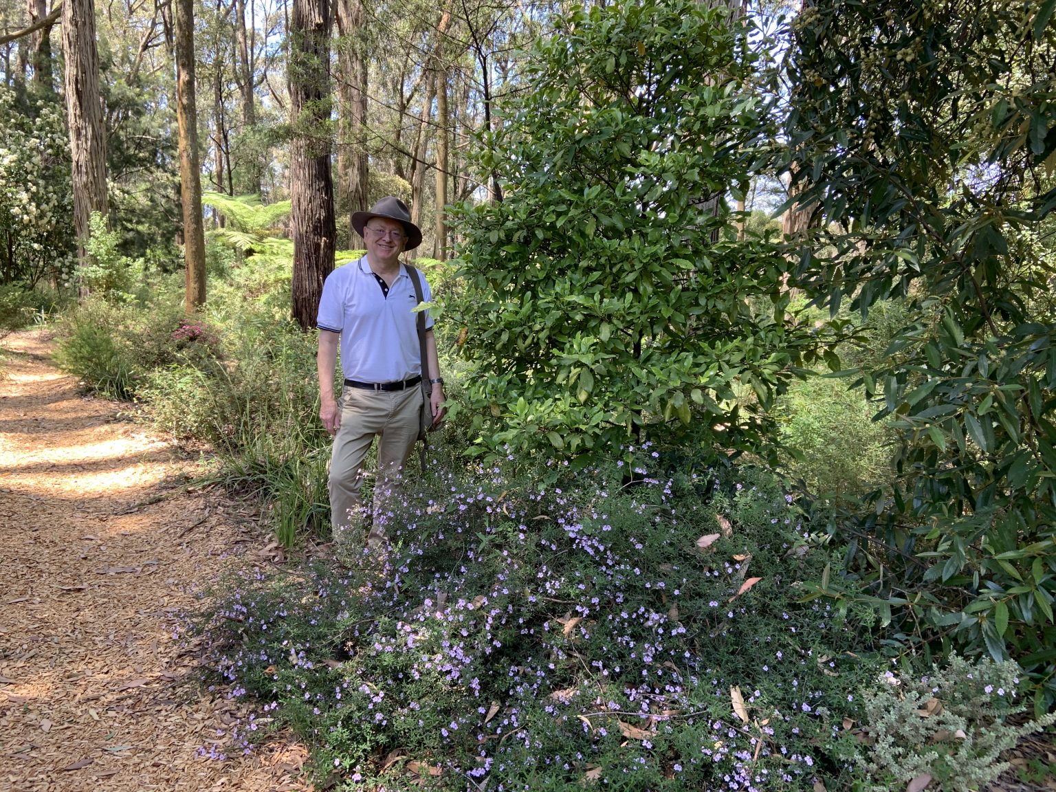 Karwarra Australian Native Botanic garden | Travel Snippets